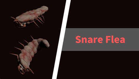 【lethal Company】敵対モンスター・エネミーの特徴と対処法まとめ ゲームの箱庭