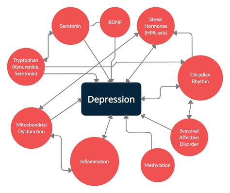 Root Causes Of Depression Rgeneticlifehacks