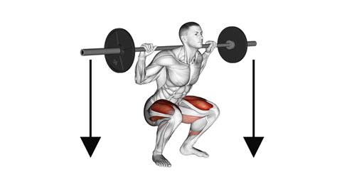 Negative Eccentric Squat Benefits Muscles Used More Inspire Us