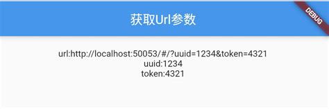 Flutter Web 获取url参数 程序猿的新奇分享