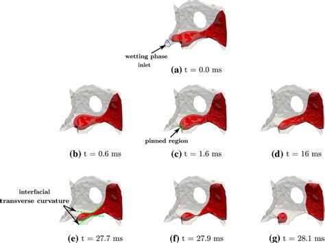 Numerical Simulation Of The Temporal Evolution Of Snap Off Event For Download Scientific