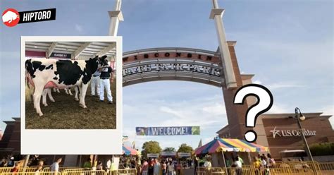Wisconsin State Fair Racial Cow Slur Controversy What Does Jigaboo