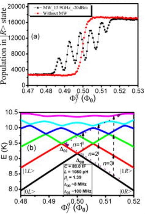 A Example Data Show The Dependence Of The Population In R Download Scientific Diagram