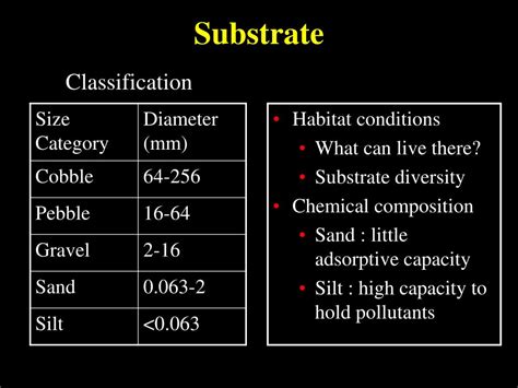 Ppt Physical Factors Important To Stream Biota Powerpoint