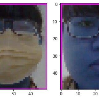 Face Dataset Sample Using Mask Left And Without Mask Right Download Scientific Diagram
