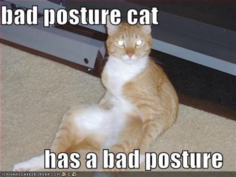 Nice Posture Memes Game Rant Posture Check Facebook