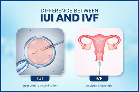 Difference Between IUI And IVF What You Should Know