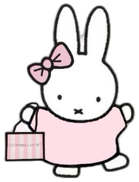 Miffy Pink Icon ♡︎ Miffy Ipad Wallpaper Art Inspiration Drawing
