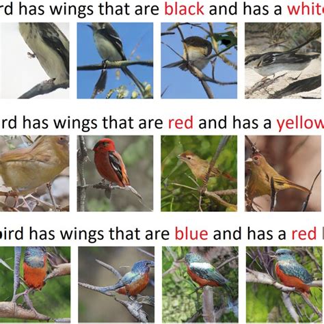 Example Results Of Our Se Attention Model With R 1 λ 0 1 Trained Download Scientific
