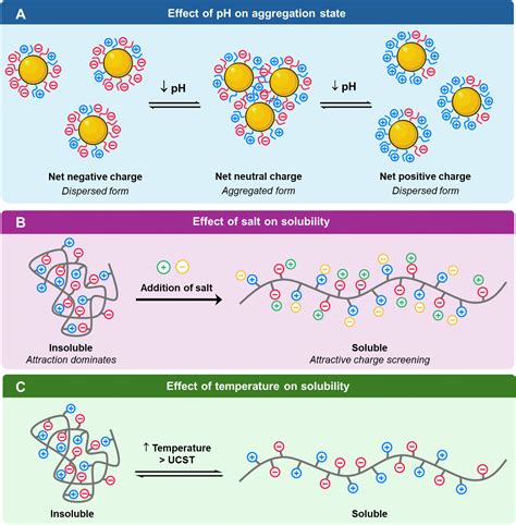 Understanding The Interplay Between Ph And Charges For Theranostic