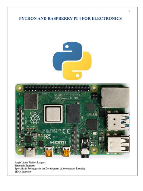 Python Programming For Raspberry Pi 4 Pdf Control Flow Parameter
