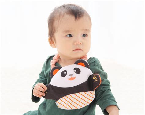 いないいないばぁスタイパンダ ‣ 株式会社シャオール