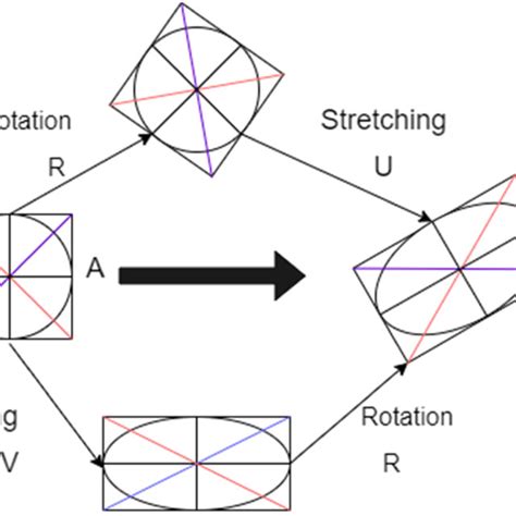 Geometrical Representation Of Polar Decomposition Download Scientific Diagram