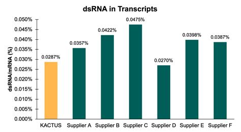 T7 Rna Polymerase Kactus