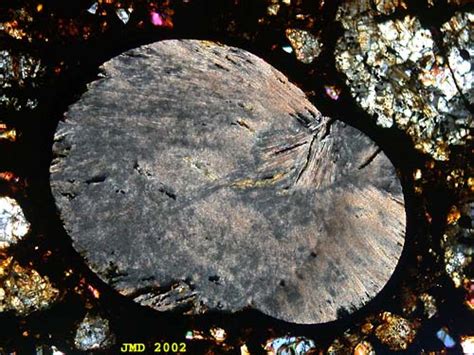 Various Chondrules From H3 Chondrite Brownfield Thin Section