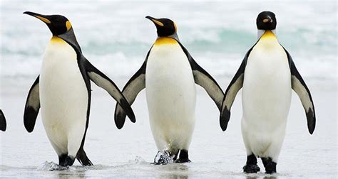 Sex से जुड़े ये 20 रोचक फैक्टस जान कर आप भी बोलेंगे ‘ha ऐसा भी हो