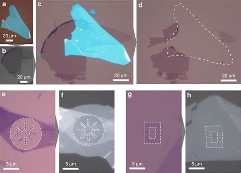 Adhesion Between Pristine And Patterned 2d Materials A Hbn Flakes