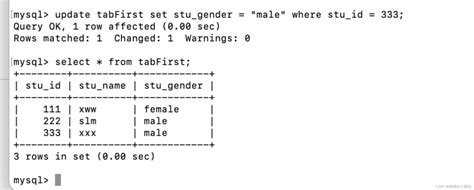 mac终端mysql命令失效修复教程：环境配置与基本操作指南 csdn博客