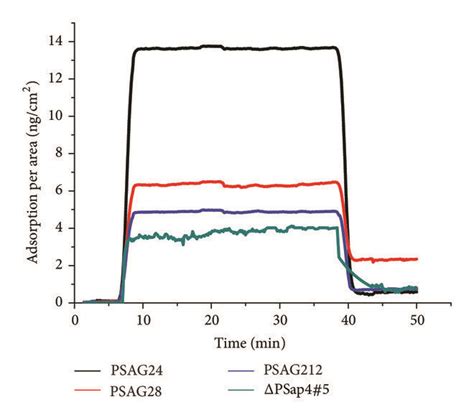 Spr Sensorgrams Representative Spr Curves For These Four Kinds Of
