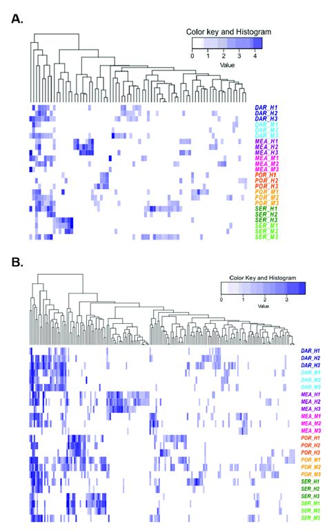 3 Heatmaps Of Meiofauna Otus Among Sampling Stations And Intertidal