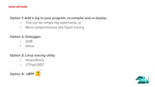 Go Logging Using EBPF PDF