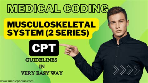 Musculoskeletal System Cpt Coding Guidelines 2024 Medical Coding