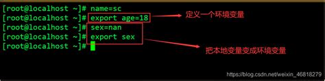 Shell基础 Bash变量 环境变量（图文详细）bash 环境变量 Csdn博客