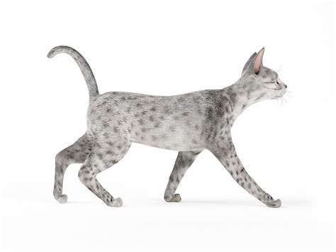 Archmodels Vol 83 3d Models