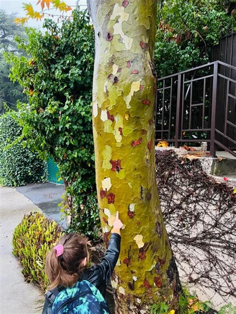 10 Photos That Will Probably Surprise You More Than A Magician Box Bright Side