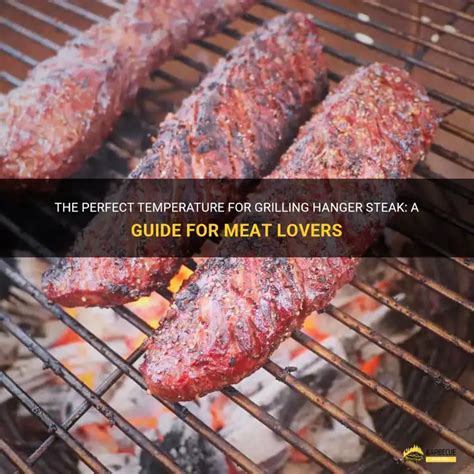 The Perfect Temperature For Grilling Hanger Steak A Guide For Meat Lovers Shungrill