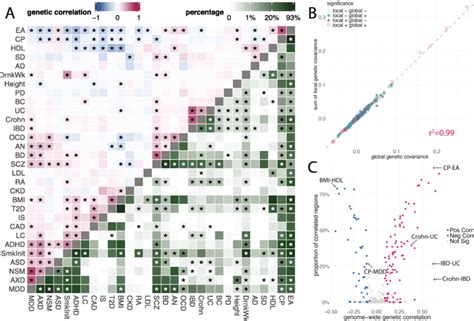 Global And Local Genetic Correlations Among 30 Complex Traits A