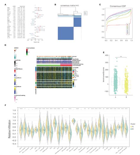 Selection Of Prognostic Related Pcd Related Genes Consensus Clustering
