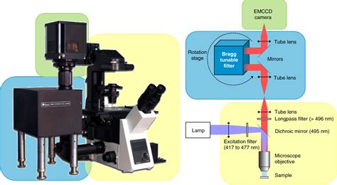 Hyperspectral Multiplex Single Particle Tracking Of Different Receptor Subtypes Labeled With