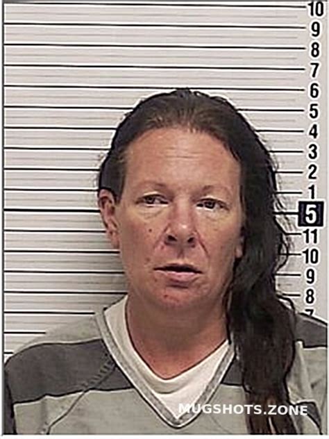 Delagrange Melissa Ann 01 08 2025 Bay County Mugshots Zone