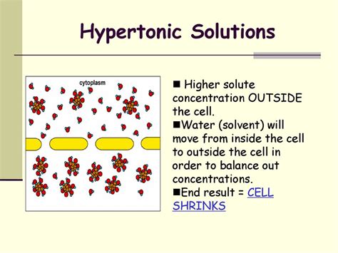 Cell Membrane Cell Membrane Video Clip Ppt Download
