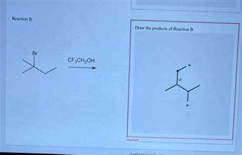 Solved possibie E1 product(s) for the following reactions. | Chegg.com