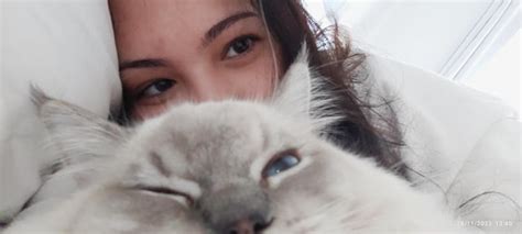 My Pretty Boy Coco 💗 Rragdolls