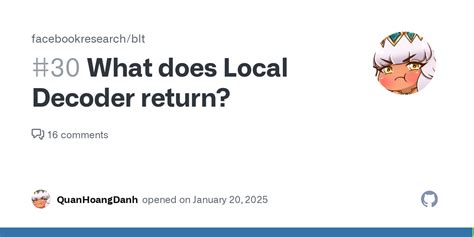 what does local decoder return · issue 30 · facebookresearch blt · github