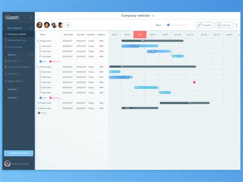 Dribbble Day 327 Gantt Chart Ui Design Full View Png By Ildiko Gaspar