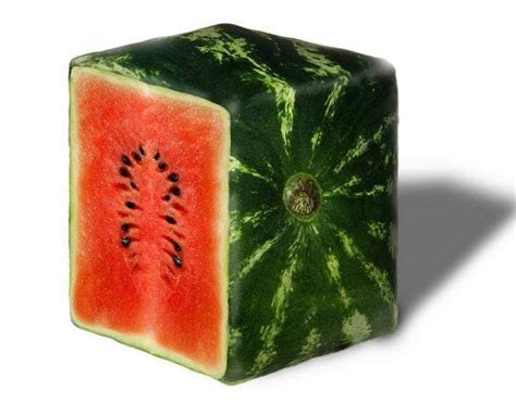 What Your Vagina Shape And Size Says About Your Personality And Sex