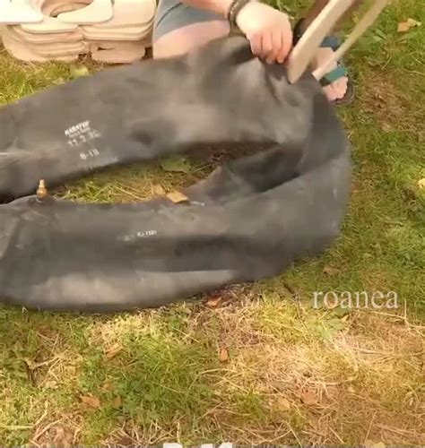 Simon Board On Linkedin Clever