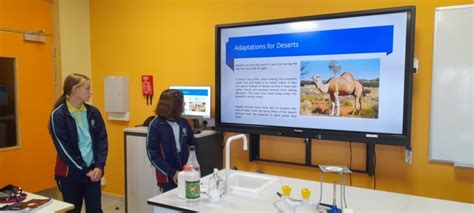 Learning About The Fieldwork In The Classroom St Thomas More College