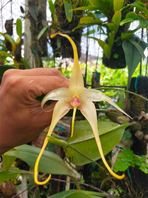 Tim Culbertson Facebook