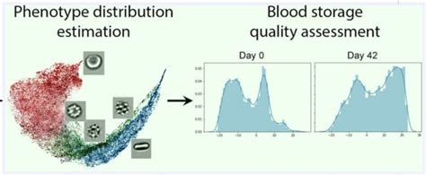 Automating Genotoxicity Assays With Imaging Flow Cytometry And Deep Learning MATLAB Simulink