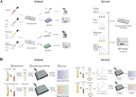 A Picture Is Worth 1000 Words Teaching Science Communication With Graphical Abstract