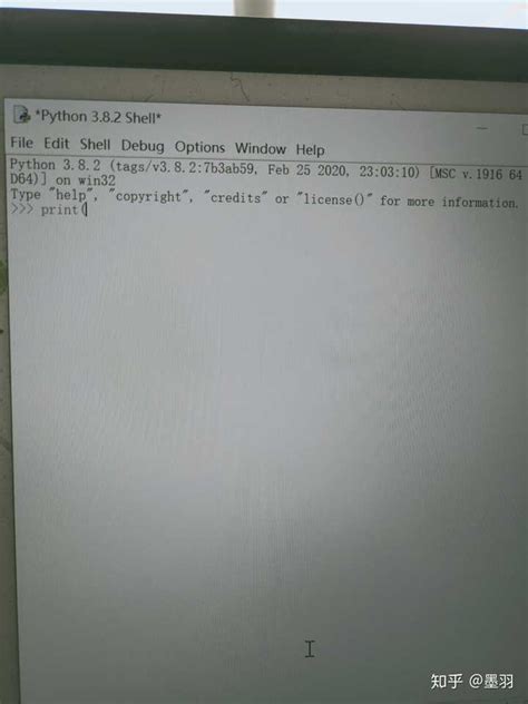 为什么python中，输入print（后，没有提示出现。？ 知乎