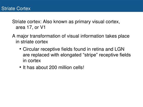 Ppt Spatial Vision Continued Powerpoint Presentation Free Download Id6135254