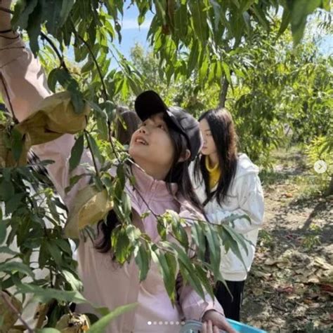 Tianjin University Tianjin University