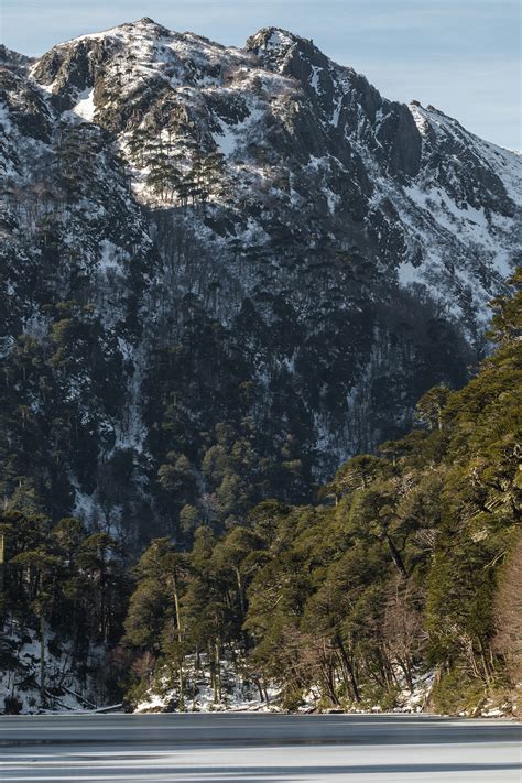 Agentes Exógenos On Behance