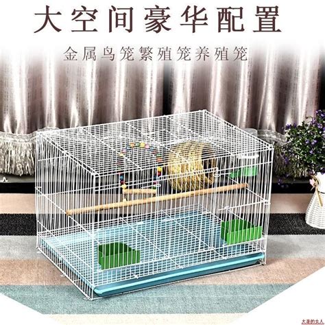 大笼子图片 简笔画 动漫 第13页 大山谷图库